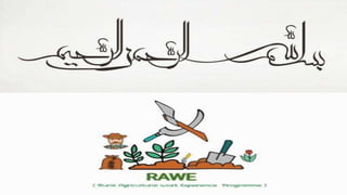 Rawe ppt by haseena shabnam | PPT