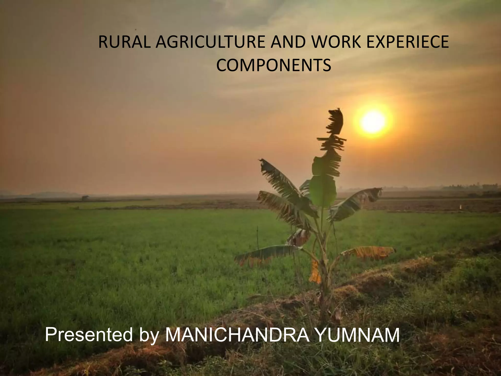 RURAL AGRICULTURE AND WORK EXPERIENCE FOR B.Sc Agriculture | PPT