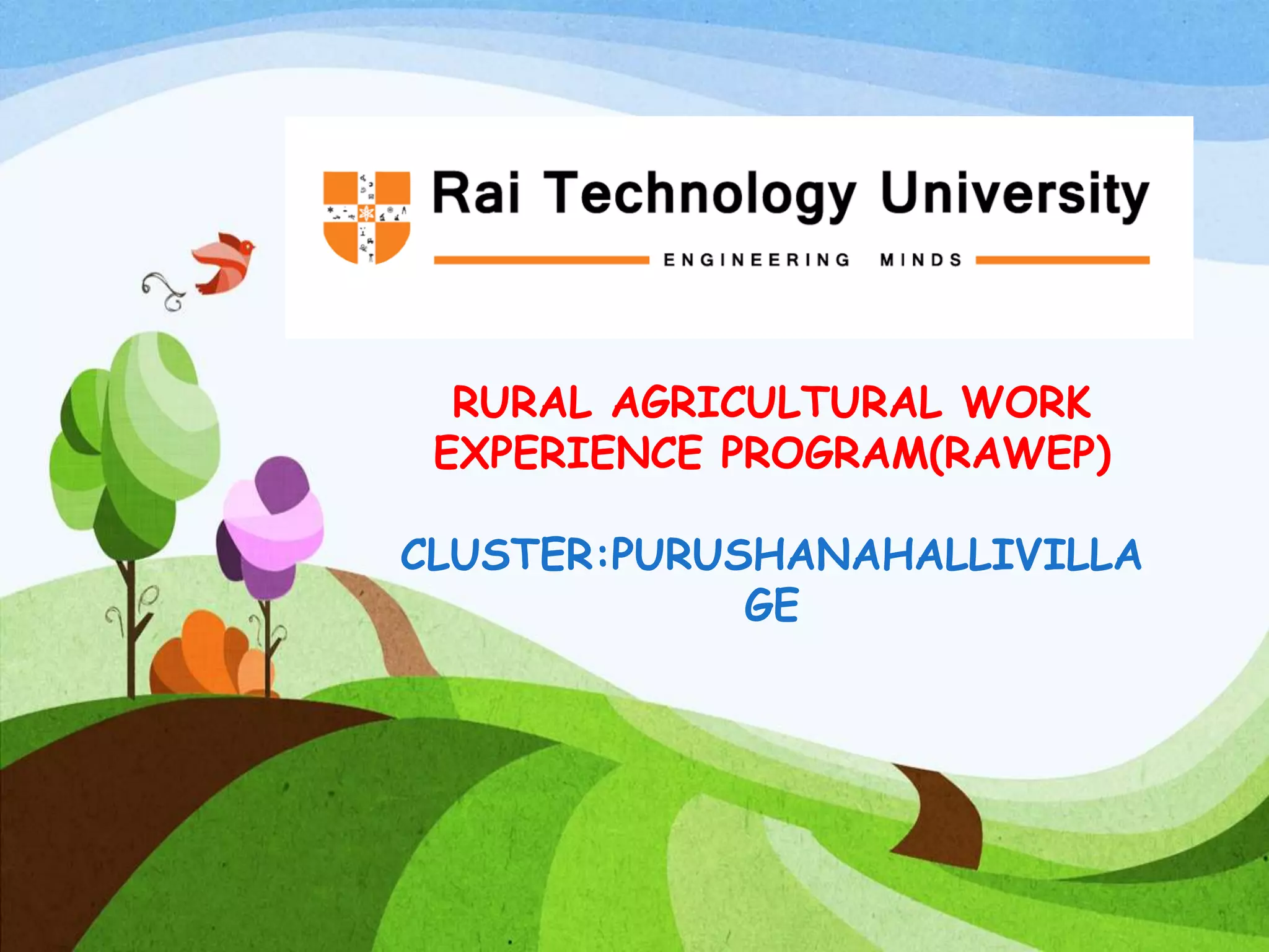 RURAL AGRICULTURAL WORK EXPERIENCE PROGRAM(RAWEP) | PPTX