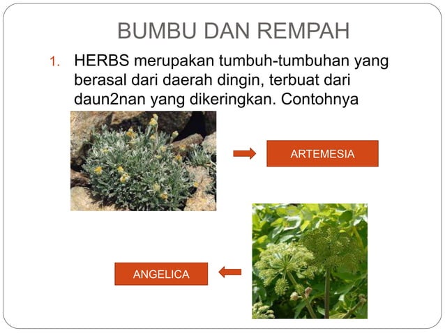 RAW MATERIAL PP.pptx