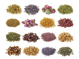 HERBS AS RAW MATERIALS & PROCESSING OF RAW MATERIALS & HERBAL DRUGS | PPTX