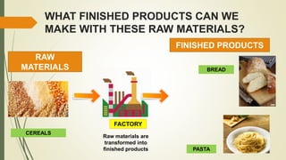 Raw materials and finished products plants | PPTX