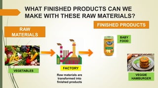 Raw materials and finished products plants | PPTX