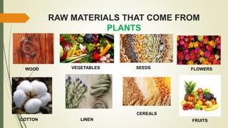Raw materials and finished products plants | PPT