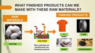 Raw materials and finished products plants | PPT
