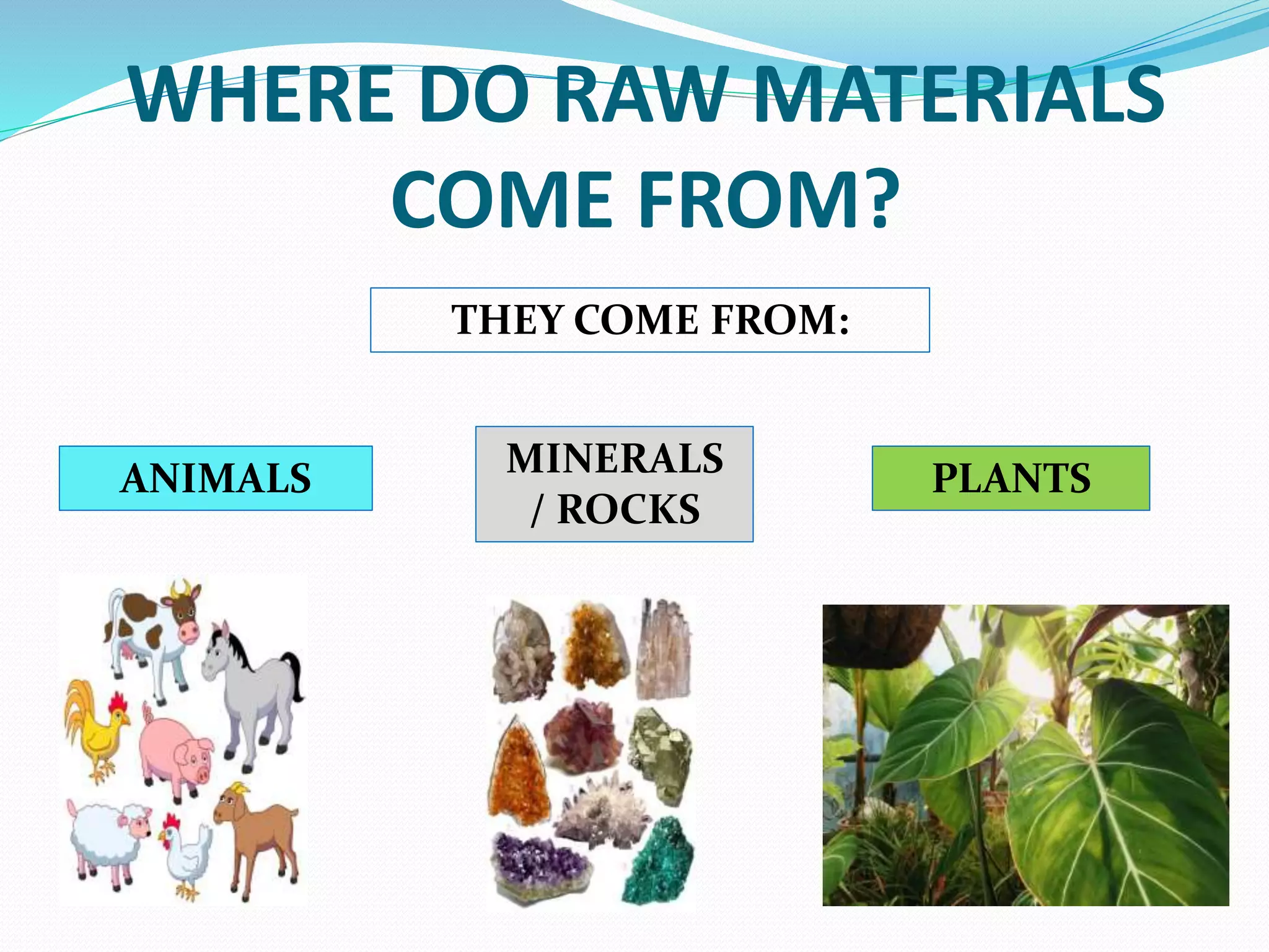 Raw materials finished products animals | PPTX