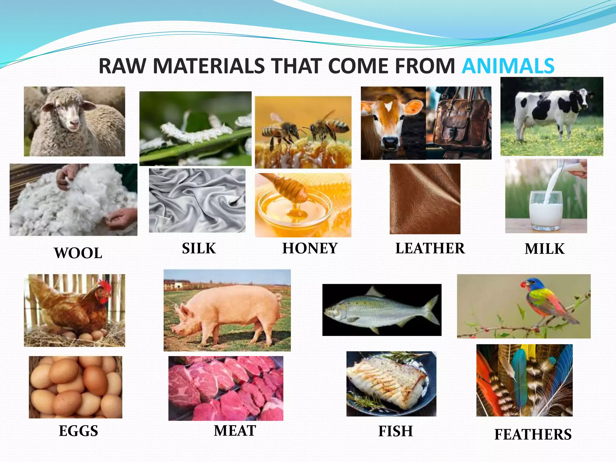 Raw materials finished products animals | PPTX