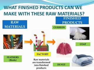 Raw Materials