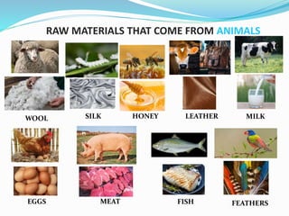 Raw materials finished products animals | PPT