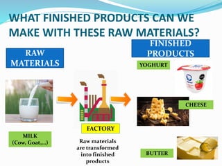 Examples Raw Materials