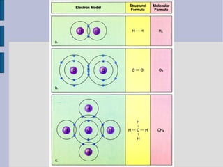 Raw materials of life | PPT