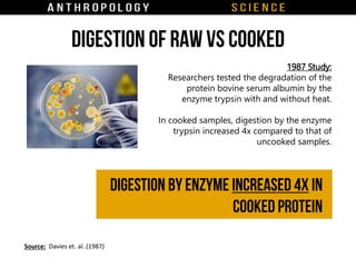 Raw meat vs Cooked Meat - Which is Healthier? | PPT