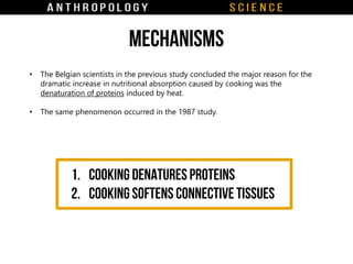 Raw meat vs Cooked Meat - Which is Healthier? | PPT