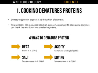 Raw meat vs Cooked Meat - Which is Healthier? | PPT