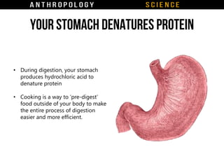 Raw meat vs Cooked Meat - Which is Healthier? | PPT