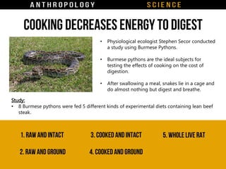 Raw meat vs Cooked Meat - Which is Healthier? | PPT