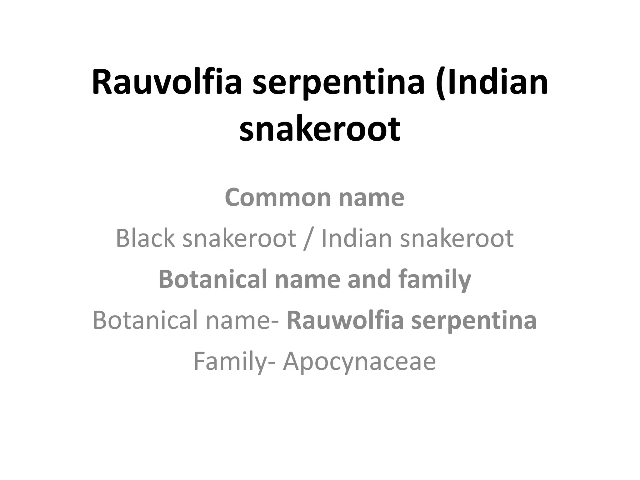 Rawolfia serpentina indian snake root ppt y.vani