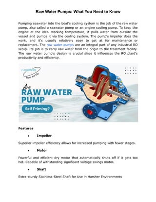 Raw Water Pumps: What You Need to Know | PDF