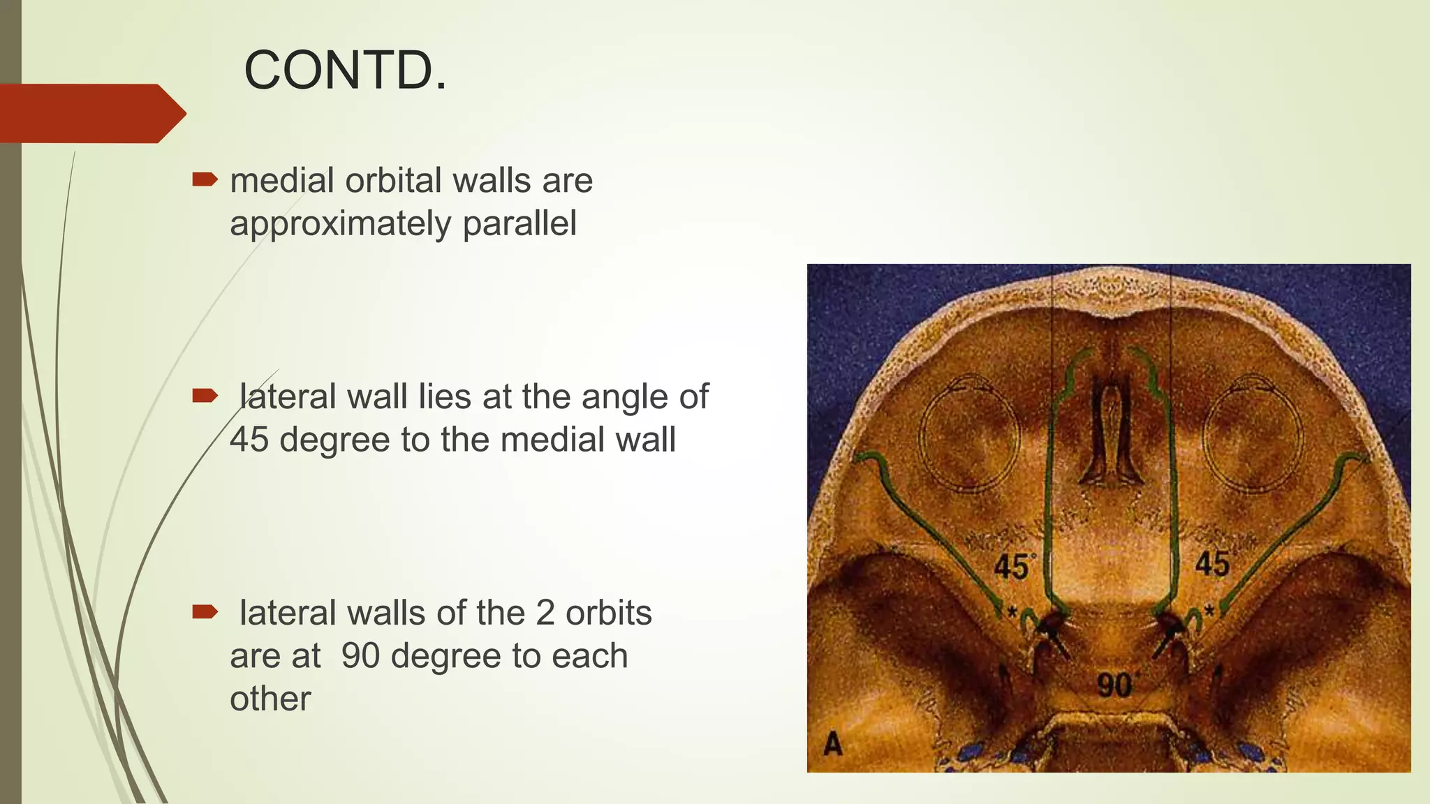 Anatomy of human orbit | PPTX