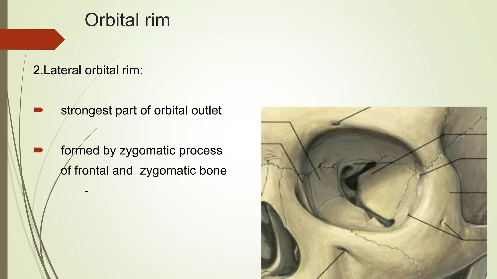 Anatomy of human orbit | PPTX