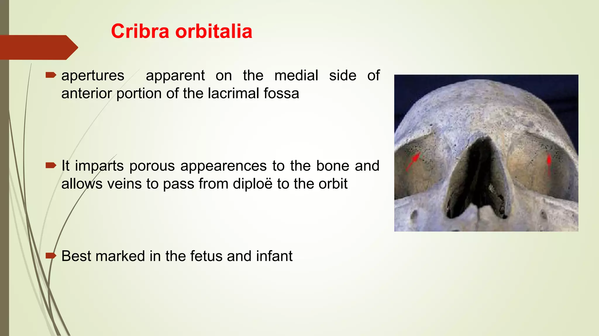 Anatomy of human orbit | PPTX