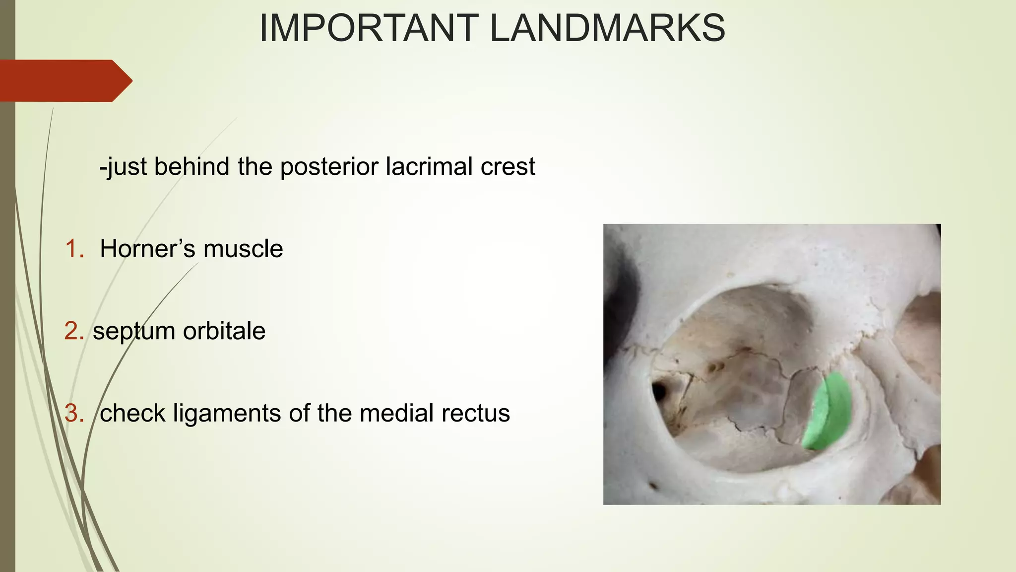 Anatomy of human orbit | PPTX
