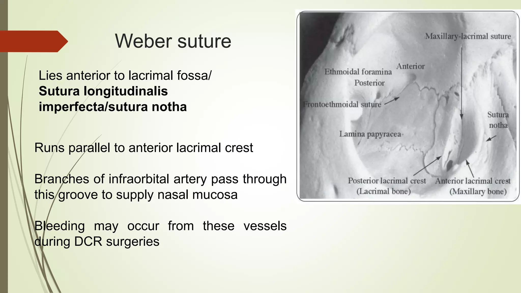 Anatomy of human orbit | PPTX