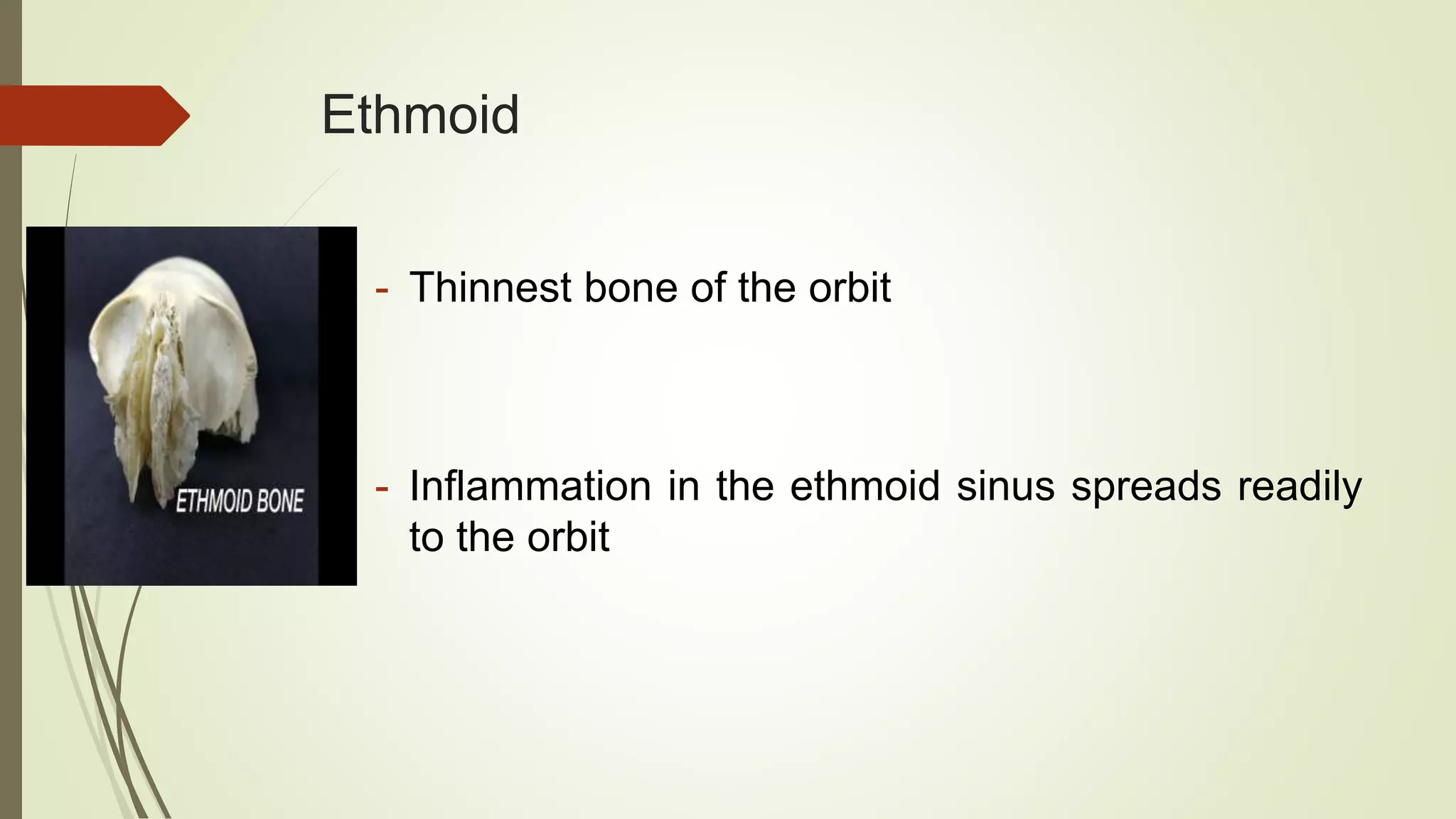 Anatomy of human orbit | PPTX