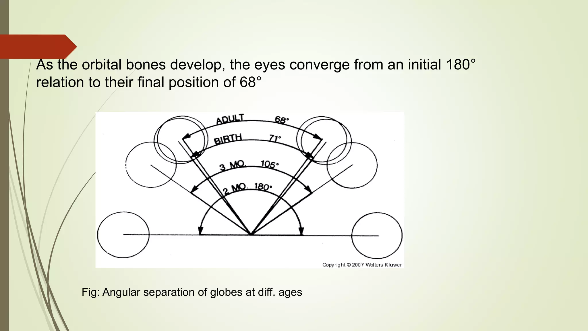 Anatomy of human orbit | PPTX