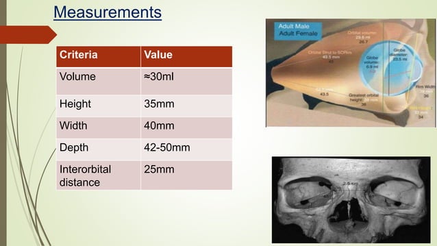 Anatomy of human orbit | PPTX