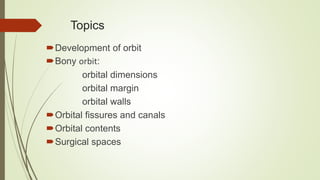 Anatomy of human orbit | PPTX