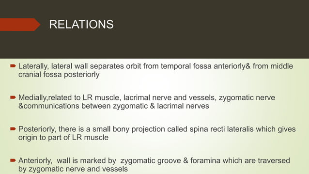 Anatomy of human orbit | PPTX