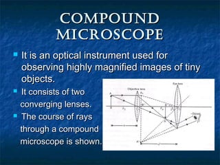 Ray Optics | PPT