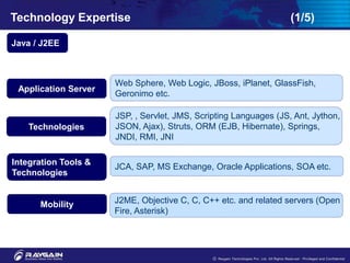 Raygain Information Technology Overview | PPT