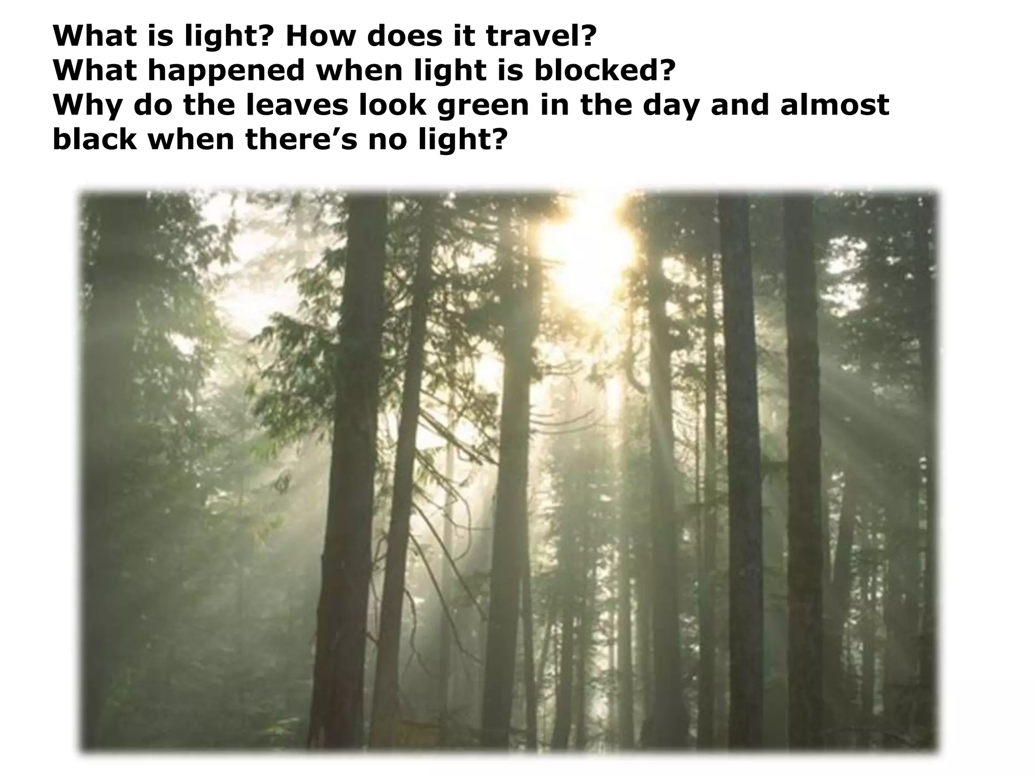 Ray Model of Light | PPTX