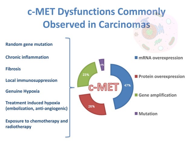 ESOC 2016: MET/HGF relevance for targeted therapy malignancies | PPT