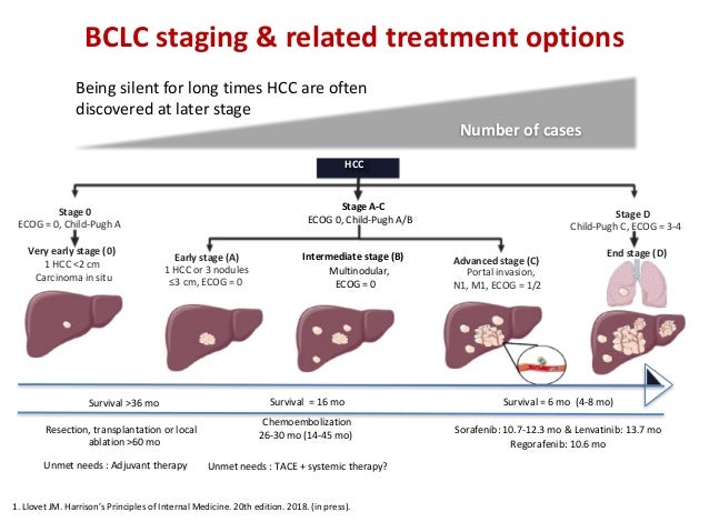 Understanding the landscape of progress in the treatment of hepatocel…