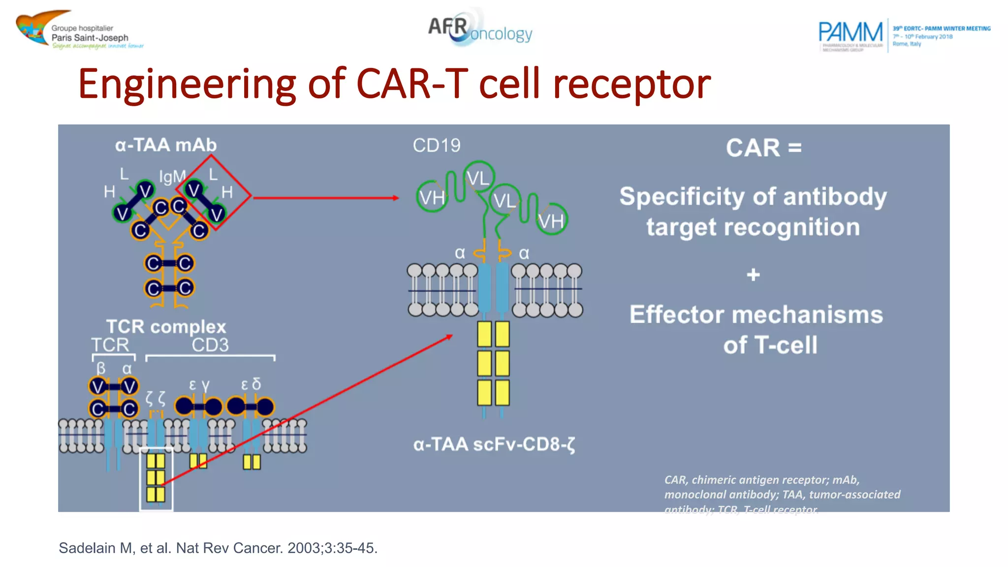 First-in-Human Chimeric antigen receptor (CAR) T cell Therapies ...