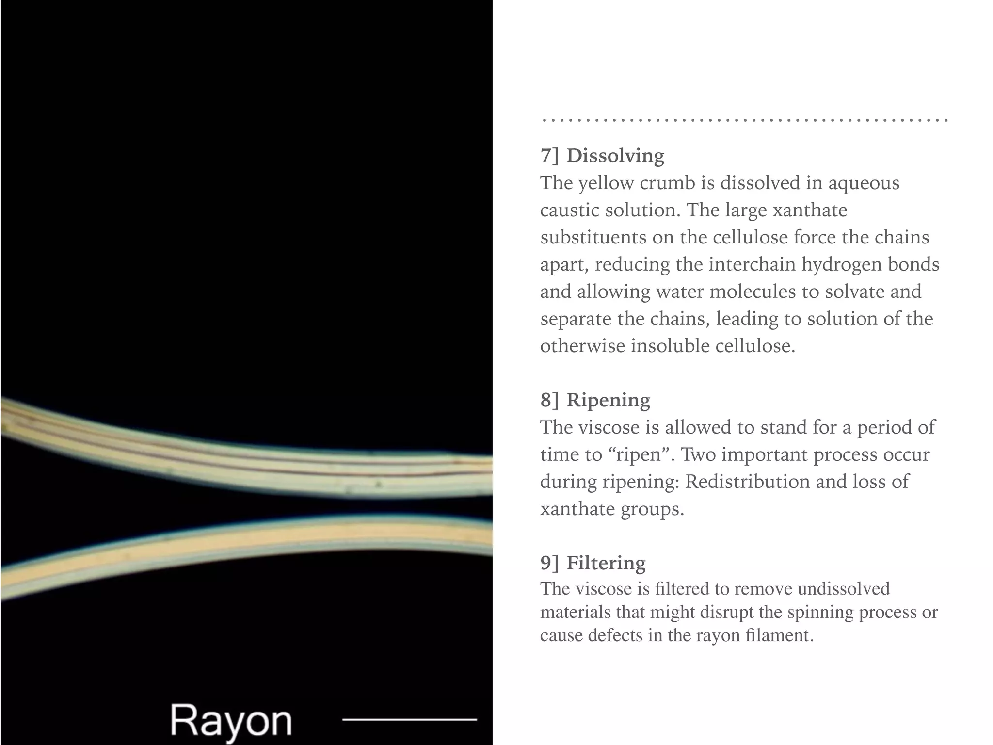 Rayon | PDF | Science