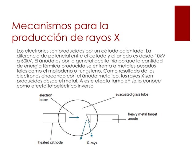 Rayos x | PPT