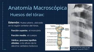 interpretacion de una Rayos X de Torax.pptx
