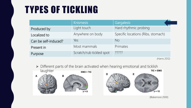 Brain Tickler | PPT