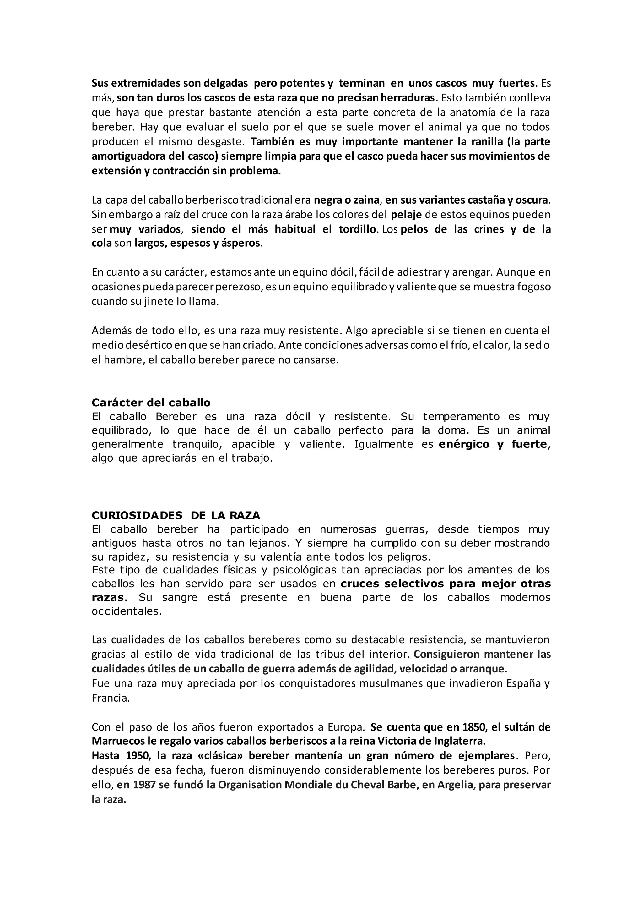 Raza de caballo bereber | DOCX