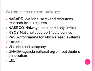 Razak agronomy | PPTX