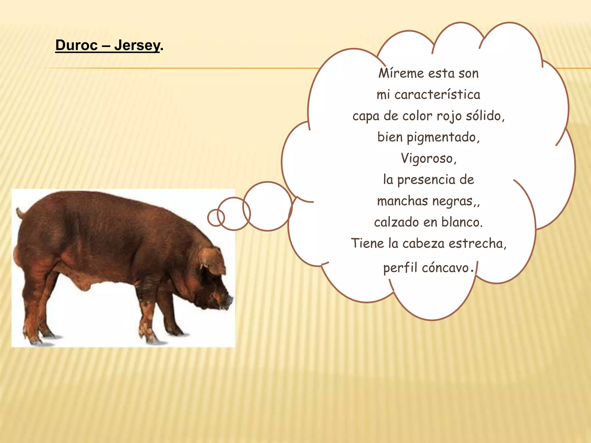 Razas de-cerdos | PPTX | Birds | Pets