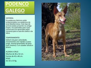 Razas autóctonas de animais de galicia | PPSX