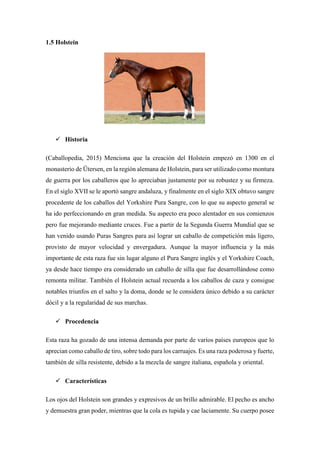 Razas de caballos | PDF