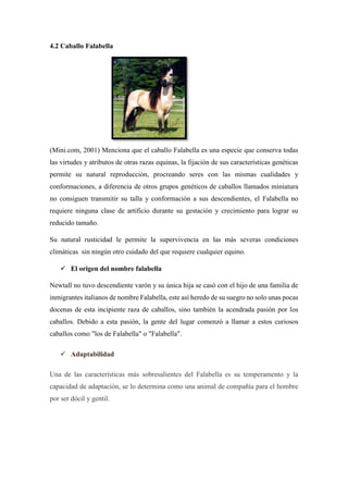 Razas de caballos | PDF