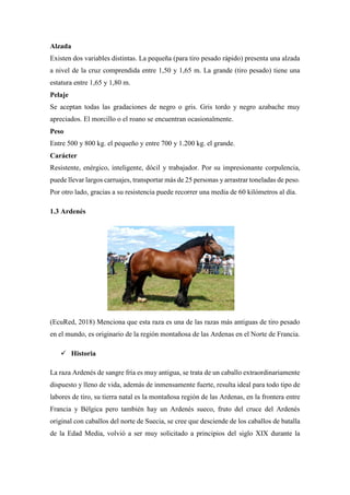 Razas de caballos | PDF