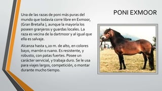 razas-de-caballos-pptx